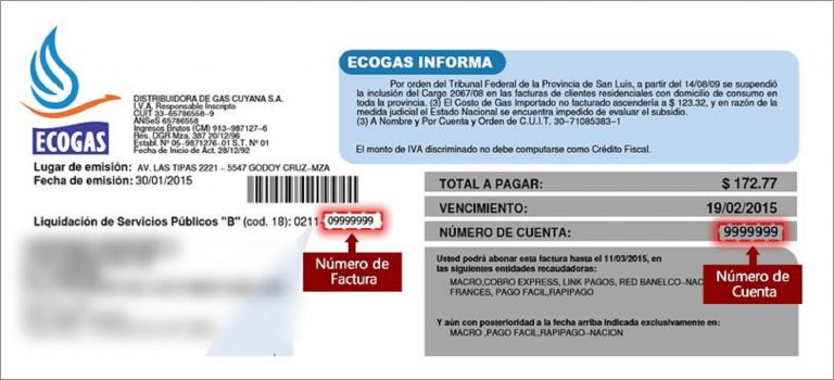 REIMPRESIÓN Y CONSULTAS DE FACTURAS DE ECOGAS