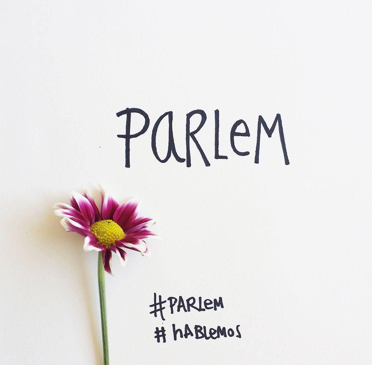 CONSULTAS SOBRE LOS SERVICIOS DE PARLEM EN ESPAÑA