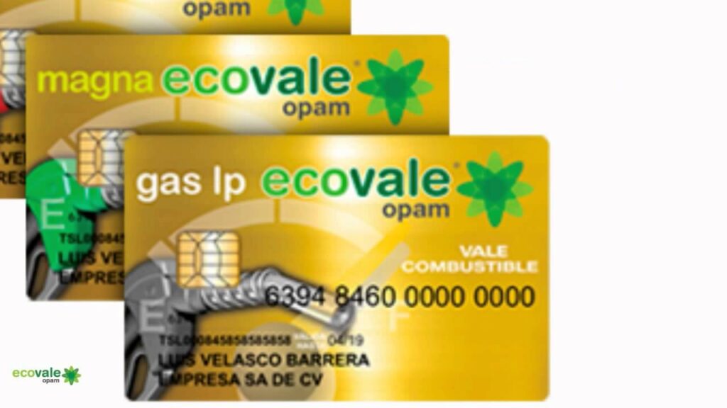 CONSULTA DE SALDO DE ECOVALE OPAM EN MÉXICO